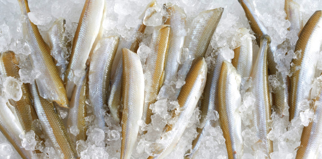 Trade - Great Lakes Food Company